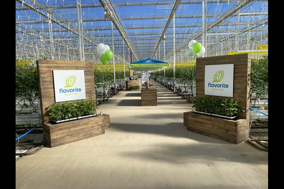 Flavorite opens new glasshouse | Article | Fruitnet